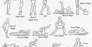 Is Fitness And Flexibility The Same Thing? Importance Of Stretch After ...