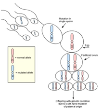 Swyer Syndrome Causes, Symptoms, Diagnosis and Treatment | Natural ...