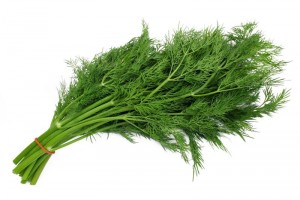 Dill, Benefits of Dill, Herb Plants - Natural Health News