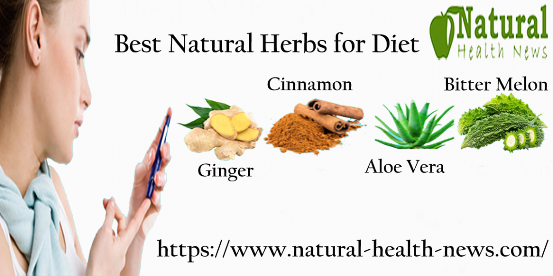 What Is Herbs and How Can it Control Diabetes? – Natural Health News