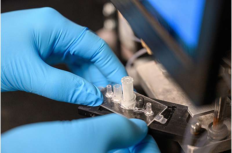 Researchers develop affordable, rapid blood test for brain cancer ...