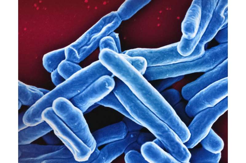 Tribbles protein offers hope for tuberculosis treatment - Natural ...